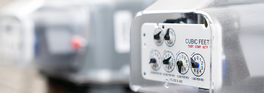 Texas Gas Service - Choose Gas